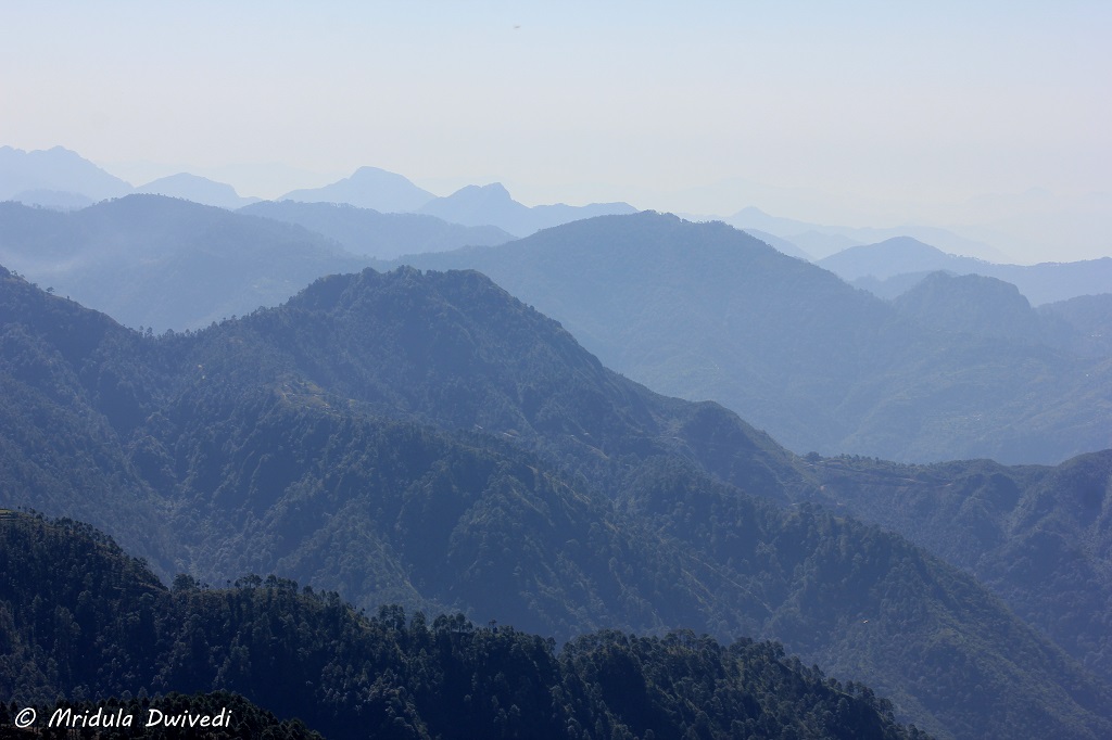 Jabarkhet Nature Reserve Mussoorie - Travel Tales from India and Abroad ...